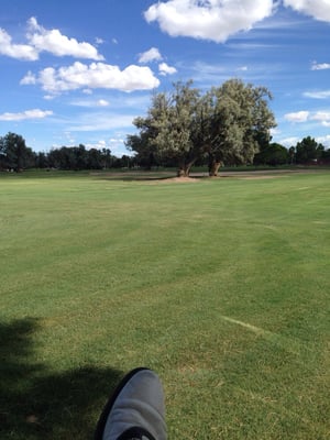 EL RIO GOLF COURSE - 10 Reviews - Golf - 1400 W Speedway Blvd, Tucson ...