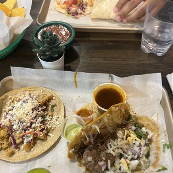 THE TIPSY TACO & TEQUILA BAR - Updated September 2024 - 33 Photos & 33 ...
