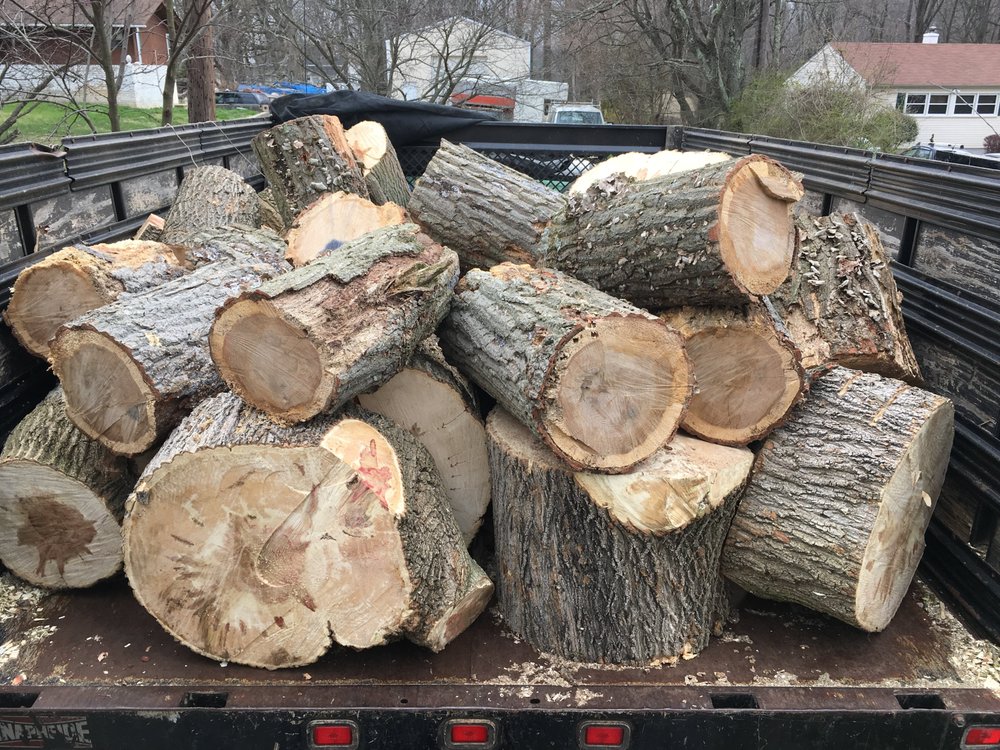 MILLER TREE EXPERTS - Updated October 2025 - 10 Photos - Berryville ...