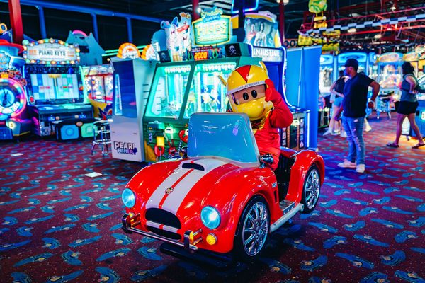 CRAIG’S CRUISERS - HOLLAND - Updated May 2026 - 34 Photos & 23 Reviews ...