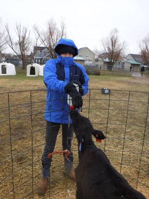 DISCOVERY RANCH - Updated November 2025 - 18 Photos & 36 Reviews - 1308 ...