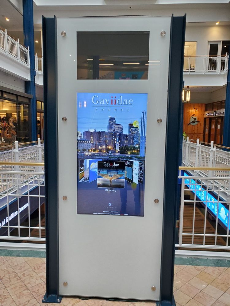 GAVIIDAE COMMON - Updated November 2024 - 12 Photos - 651 Nicollet Mall ...