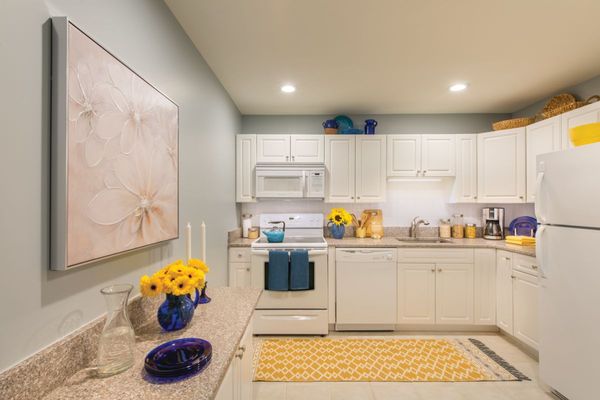 ANN’S CHOICE - Updated October 2025 - 25 Photos - 30000 Ann's Choice ...