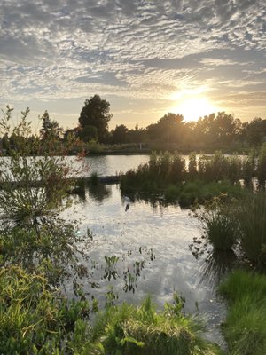 EARVIN MAGIC JOHNSON PARK - Updated December 2025 - 80 Photos & 37 ...