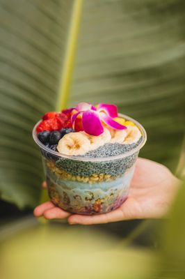 LITTLE AVALON - Updated December 2025 - 353 Photos & 134 Reviews - 7355 ...