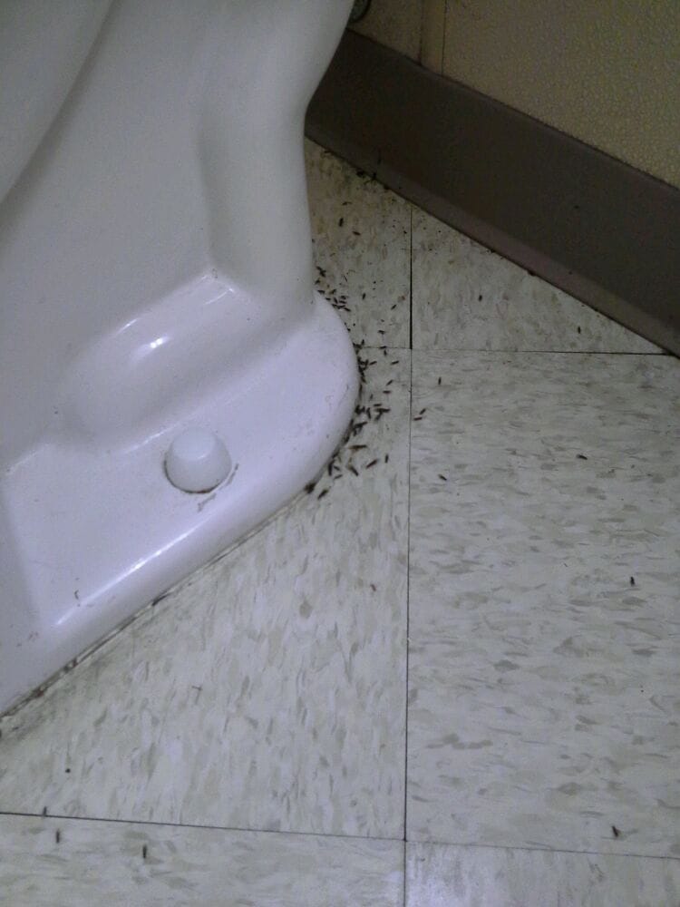 KWIK FILL - Updated August 2025 - 1588 E 38th St, Erie, Pennsylvania ...