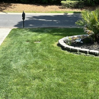 BLADE FORCE - Updated August 2025 - Fort Mill, South Carolina - Lawn ...