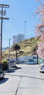 MIGUEL CONTRERAS LEARNING COMPLEX - Updated August 2025 - 22 Photos ...