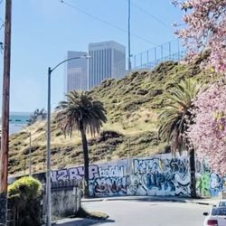 MIGUEL CONTRERAS LEARNING COMPLEX - 16 Photos - 322 Lucas Ave, Los ...