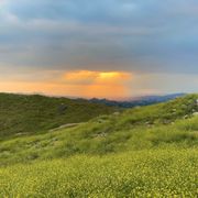 SYCAMORE CANYON WILDERNESS PARK - 296 Photos & 47 Reviews - Sycamore ...