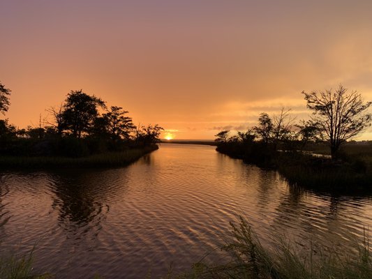 SHELL POINT BEACH - Updated October 2024 - 47 Photos & 13 Reviews - 117 ...