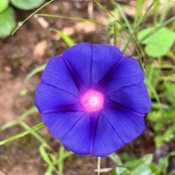 MEEKS PARK - Updated October 2025 - 63 Photos & 25 Reviews - 490 Meeks ...