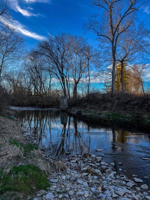 CARTER PARK - Updated September 2025 - 28 Photos - 1780 King Ave, Kings ...