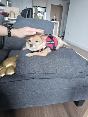 OPUS LA - Updated September 2025 - 13 Photos & 12 Reviews - 3545 ...