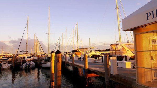 DINNER KEY MARINA - Updated October 2025 - 95 Photos & 22 Reviews ...
