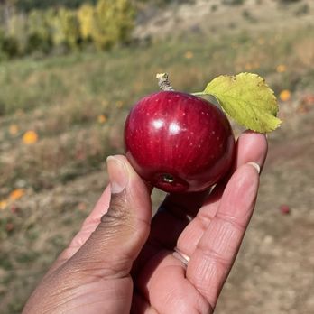 RILEY’S FARM - Updated August 2024 - 870 Photos & 405 Reviews - 12261 S ...