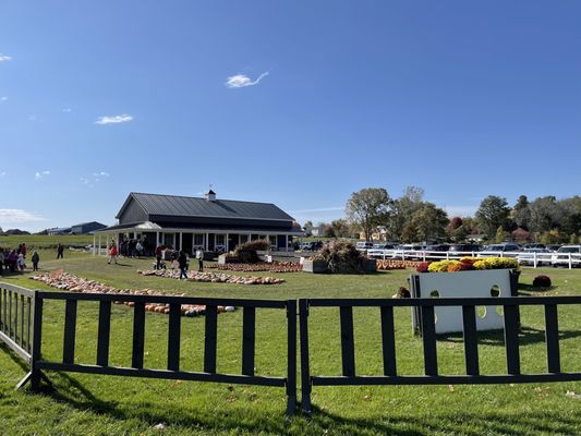 PICK’N PATCH - Updated December 2025 - 45 Photos & 10 Reviews - 2205 ...