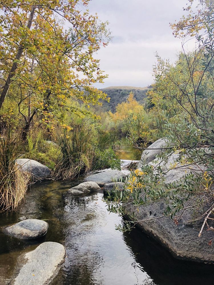 SANTA MARGARITA PRESERVE - Updated January 2025 - 193 Photos & 64 ...