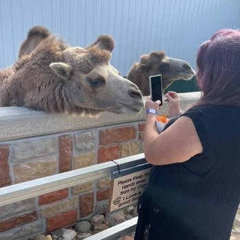 GOEBBERT’S FARM - Updated December 2025 - 341 Photos & 193 Reviews ...