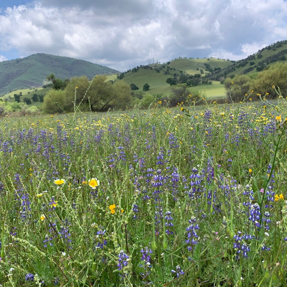 Best Landmarks & Historical Buildings near Pine Flat Lake Marina in ...