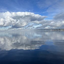 CARILLON KITCHEN - Updated October 2025 - 80 Photos & 96 Reviews - 2240 ...