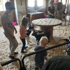 ROSE BRIDGE FARM & SANCTUARY - 146 Photos & 54 Reviews - 1314 N ...