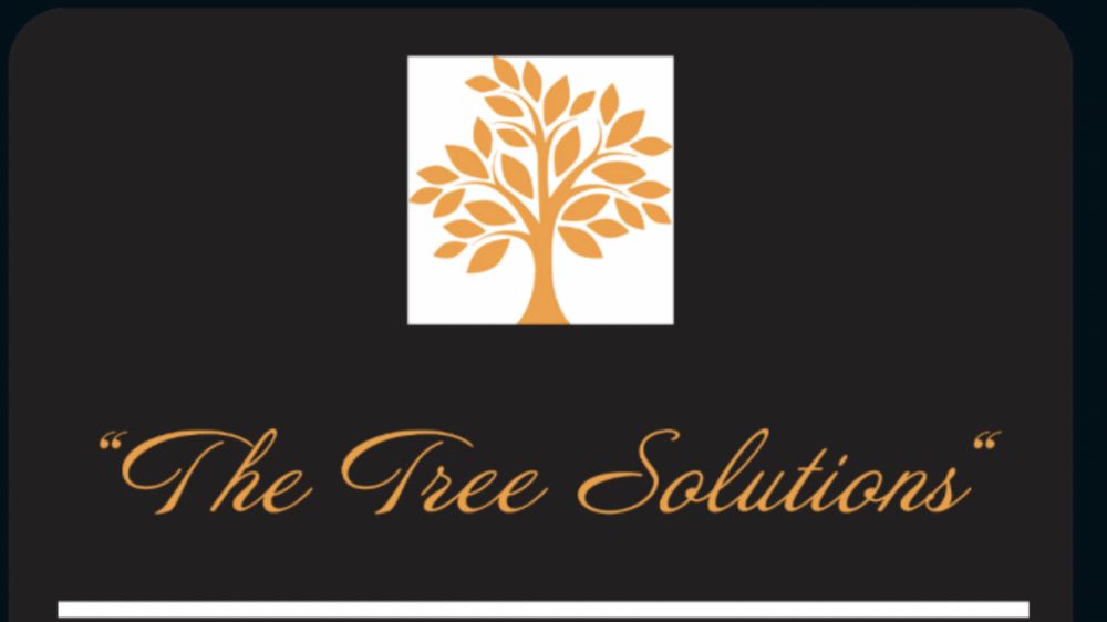 THE TREE SOLUTIONS - Updated January 2026 - Charleston , West Virginia ...