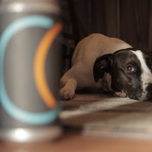 Socal Vibes - Order Food Online - 81 Photos & 69 Reviews - Breweries ...