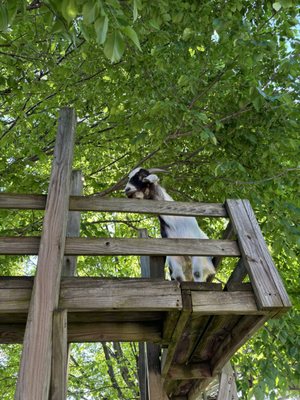 TOUGAS FAMILY FARM - Updated September 2024 - 340 Photos & 192 Reviews ...