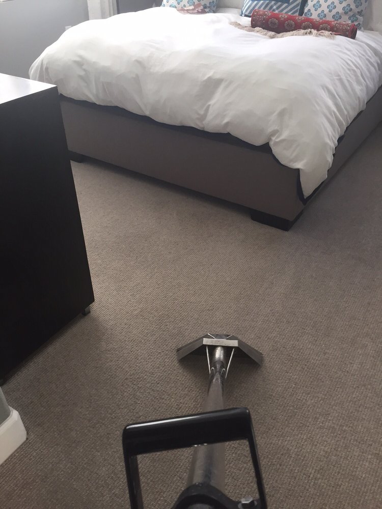 FIVE DIAMOND CARPET CLEANING - Updated March 2024 - 101 Photos & 66 ...