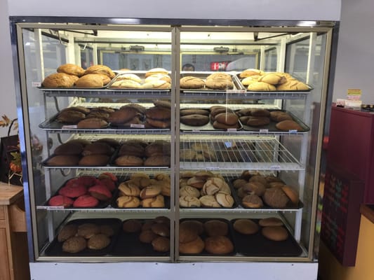 CHELAS BAKERY #2 - 11 Photos & 48 Reviews - 23962 Alessandro Blvd ...
