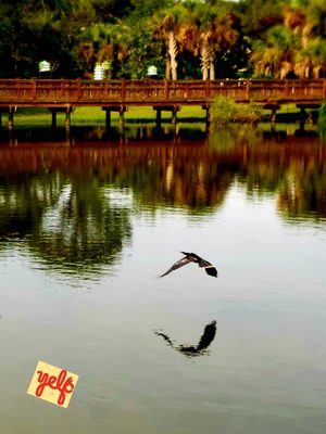 ST JOHNS COUNTY PUBLIC LIBRARY - PONTE VEDRA BEACH - Updated January ...