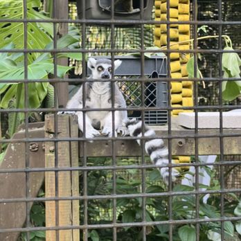 PANA’EWA RAINFOREST ZOO & GARDENS - Updated October 2024 - 780 Photos ...