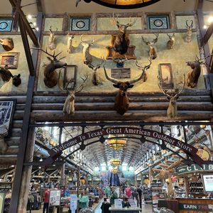 BASS PRO SHOPS - GRAPEVINE - 299 Photos & 169 Reviews - Hunting ...
