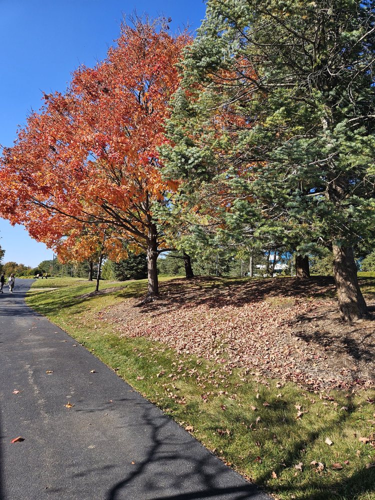 TY WARNER PARK - Updated December 2025 - 54 Photos & 33 Reviews - 800 ...