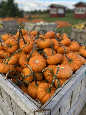 HOLMBERG ORCHARDS - Updated October 2025 - 239 Photos & 93 Reviews - 12 ...
