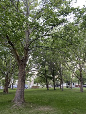 CROW BUTTE PARK - Updated October 2025 - 54 Photos - 165215 W Crow ...