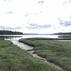 LAKE TRASK TIMBER TRAILS ASSOCIATION - Updated May 2025 - 15 Photos ...