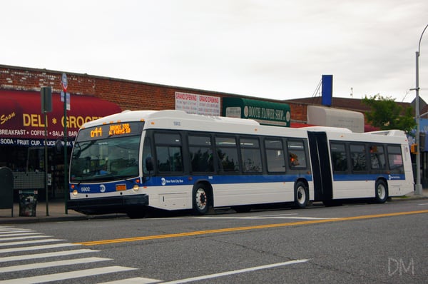 Q44 BUS - Updated December 2025 - 25 Photos & 19 Reviews - Jamaica ...