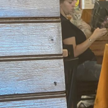 EASY STREET INN FOOD & SPIRITS - Updated October 2024 - 32 Photos & 81 ...