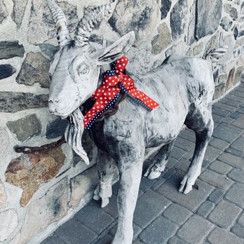THE CHOCOLATE GOAT GIFT SHOPPE - Updated May 2026 - 98 Photos & 37 ...