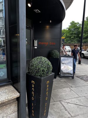 THE MANGO TREE - Updated July 2025 - 56 Photos & 109 Reviews - 46 ...