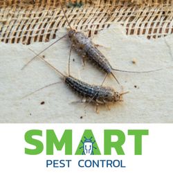 SMART PEST CONTROL - 30 Photos - 17682 Mitchell N, Irvine, CA - Yelp