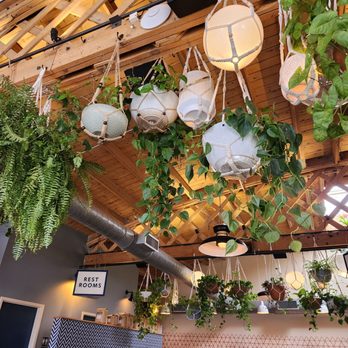 LEVEN DELI - Updated July 2024 - 984 Photos & 609 Reviews - 123 W 12th ...