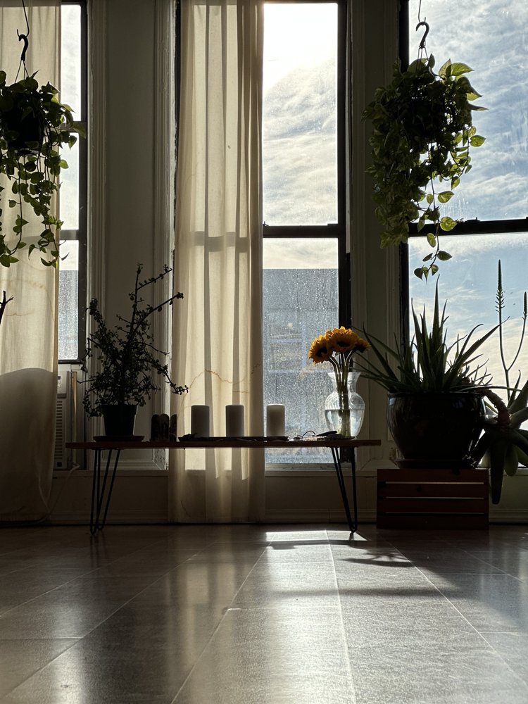 UpDog Studios, New York | Roadtrippers