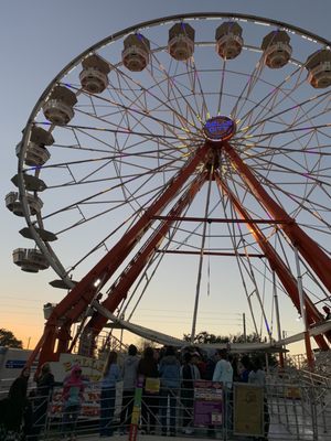 MANATEE COUNTY FAIR - Updated May 2025 - 14 Photos - 1402 14th Ave W ...