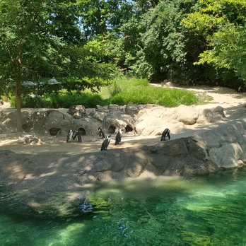 FORT WAYNE ZOO - Updated May 2025 - 364 Photos & 110 Reviews - 3411 ...