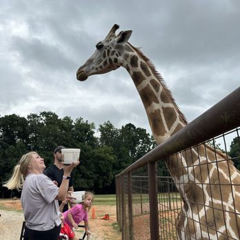 LAZY 5 RANCH - Updated December 2025 - 880 Photos & 302 Reviews - 15100 ...