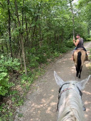 MEMORY LANE STABLES - Updated July 2024 - 146 Photos & 83 Reviews ...