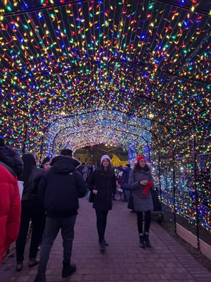 GAGE PARK - Updated December 2025 - 45 Photos & 12 Reviews - 45 Main ...